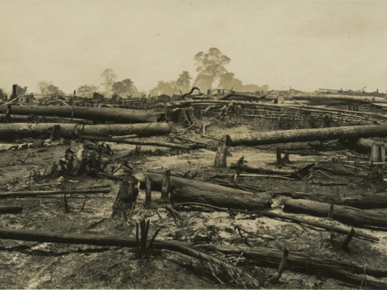 Inside Fordlândia, Henry Ford's Failed Utopia In Brazil
