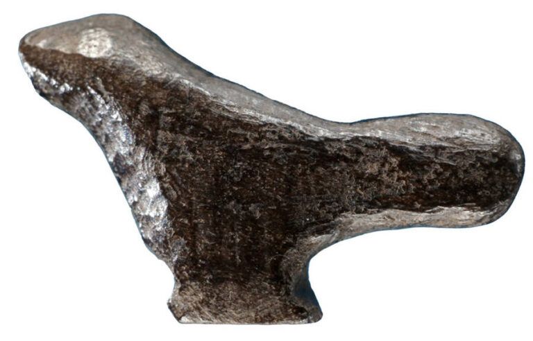 13,500-Year-Old Bird Figurine Is The Oldest Sculpture Found In China