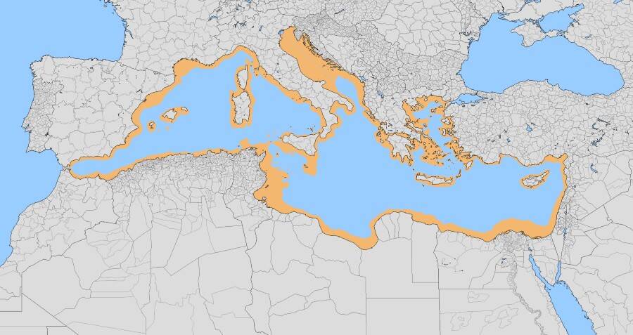 Inside Atlantropa, The Bizarre Plan To Drain The Mediterranean Sea