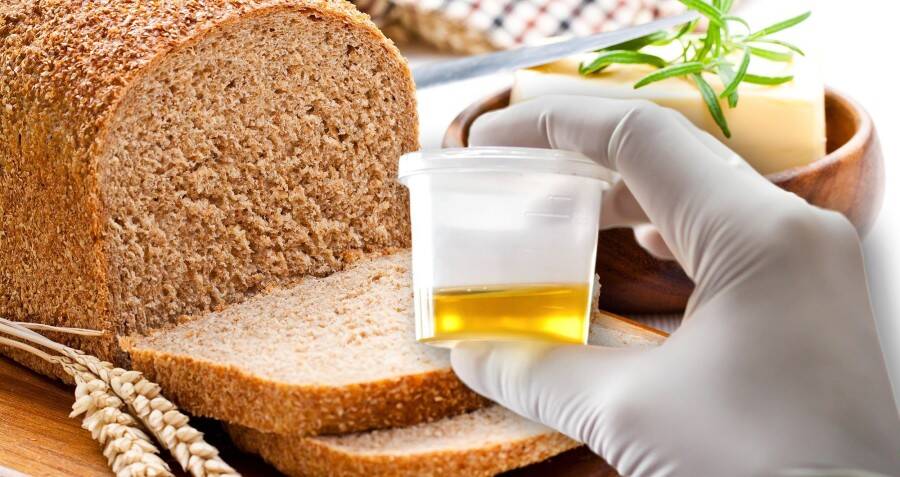 French Ecofeminist Uses Women's Pee From Public Toilets To Bake Bread