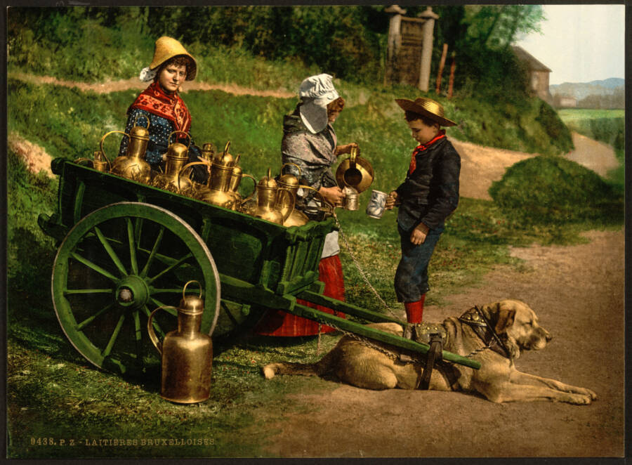 77 Of The First Color Photos Offer A Vibrant Look At History