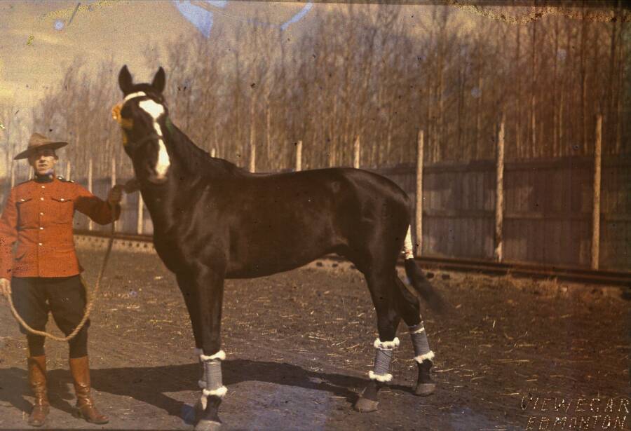 77 Of The First Color Photos Offer A Vibrant Look At History