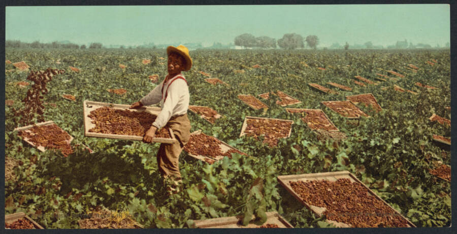 77 Of The First Color Photos Offer A Vibrant Look At History
