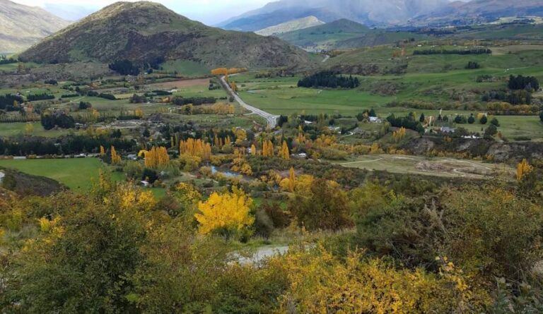 Meet The Haast's Eagle, The 'Lost Giant' Of New Zealand