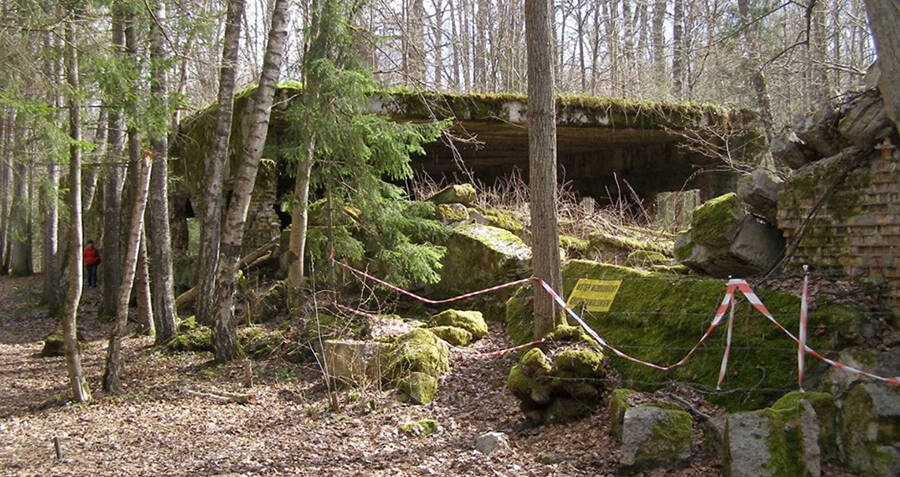 Multiple Nazi Artifacts Recovered From Hitler's Covert Wolf's Lair