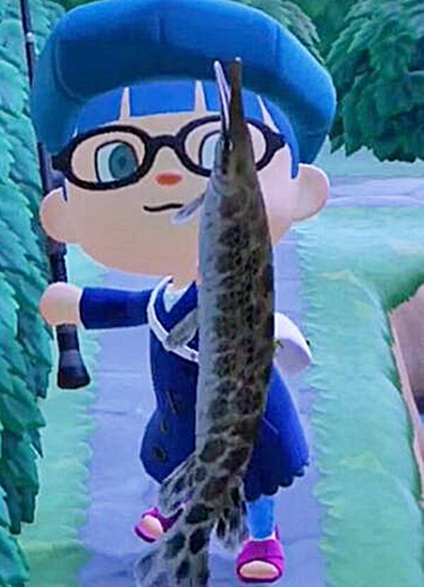 19 Of The Most Bizarre Real-Life Creatures On Animal Crossing