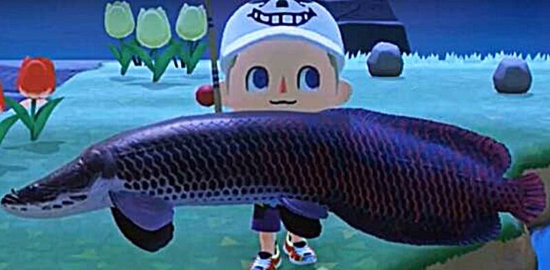 19 Of The Most Bizarre Real-Life Creatures On Animal Crossing