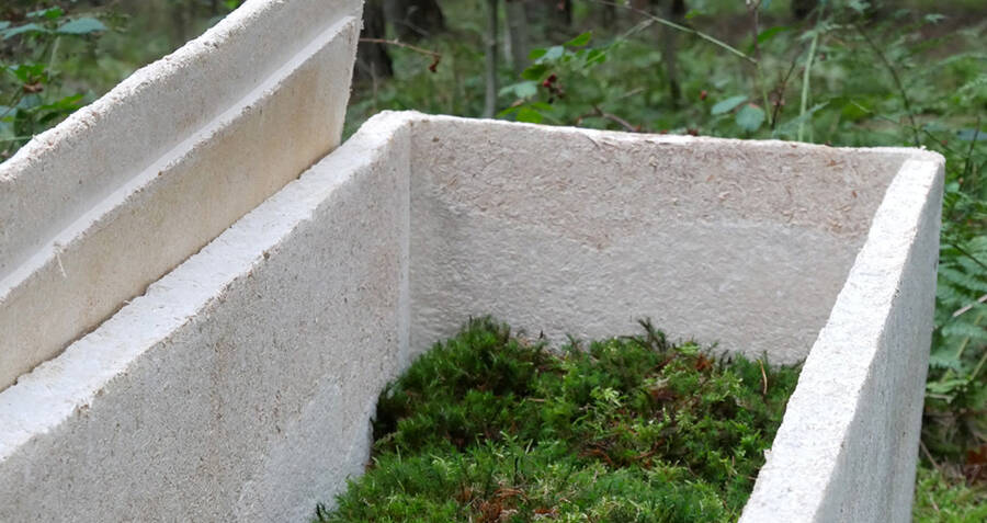 Dutch Inventor Creates 'Living' Coffin Made Out Of Mushrooms