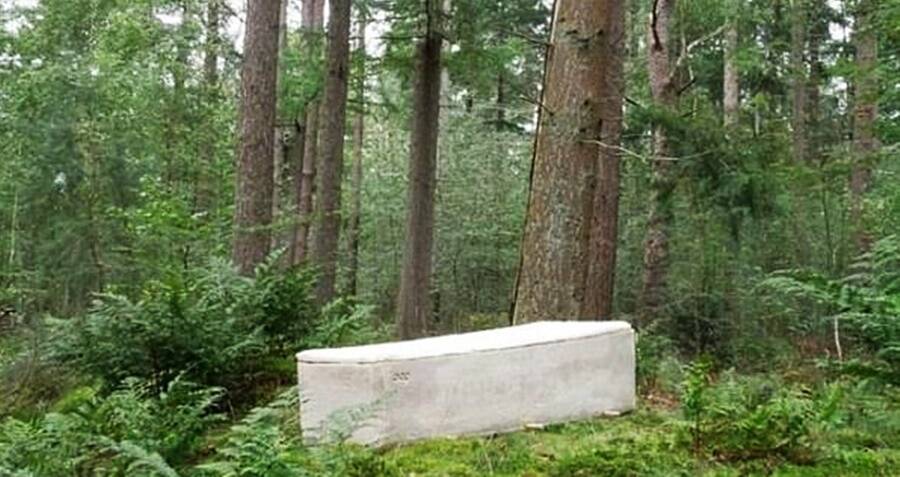 Dutch Inventor Creates 'Living' Coffin Made Out Of Mushrooms