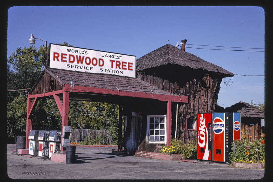 America's Weirdest Roadside Attractions, In 36 Vintage Photos