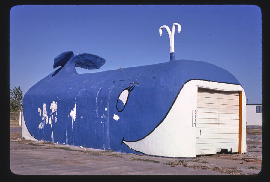 America's Weirdest Roadside Attractions, In 36 Vintage Photos