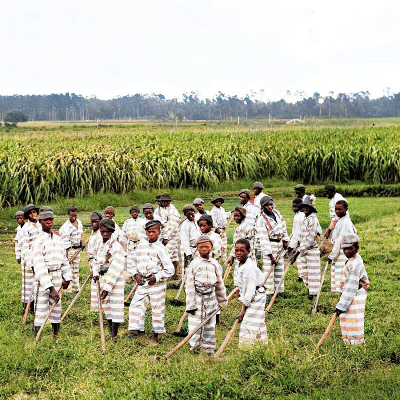 33 Jim Crow Pictures That Are Even More Shocking In Color