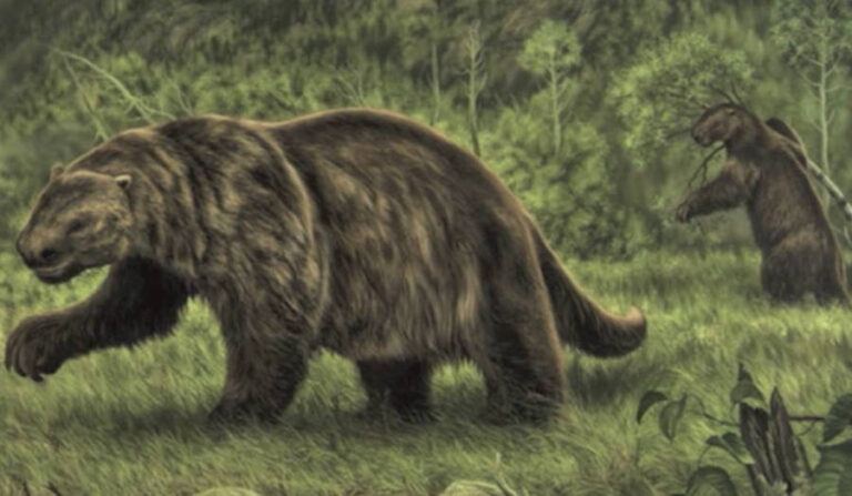 11 Urban Legends That Will Make Your Skin Crawl