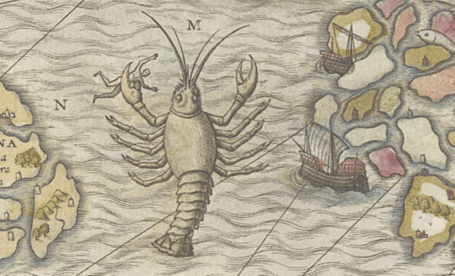 39 Incredibly Detailed Drawings Of Sea Creatures From Centuries Past