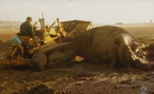 Florence, Oregon's Exploding Whale And The Wild Story Behind It