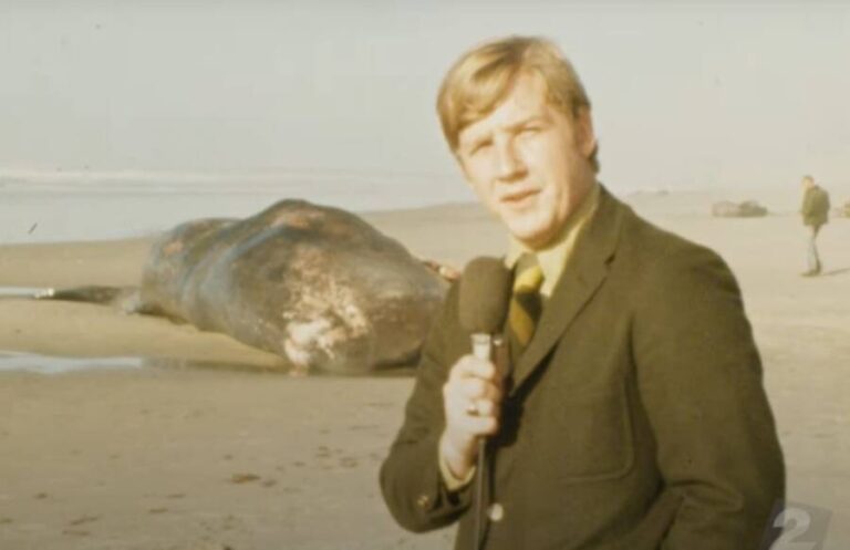 Florence, Oregon's Exploding Whale And The Wild Story Behind It