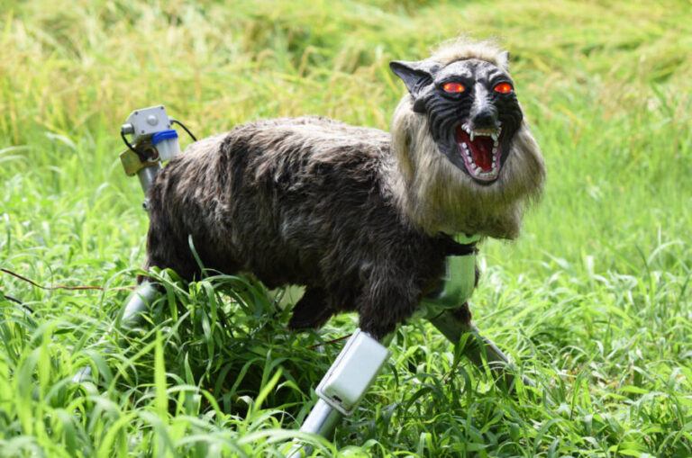 Japanese Installs Terrifying 'Monster Wolf' Robots To Scare Away Bears
