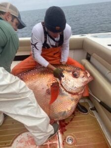 Rare 143-Pound Deep-Sea Opah Fish Caught Off The Coast Of Virginia
