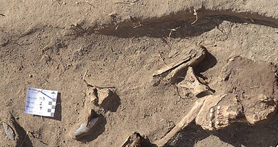 9,000-Year-Old Remains Of Female Hunter Found In Peru