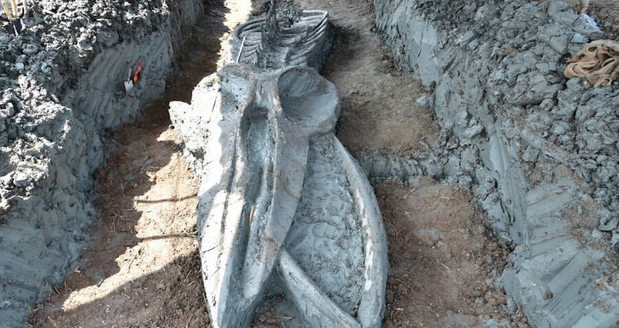 Well-Preserved, 5,000-Year-Old Whale Skeleton Discovered In Thailand