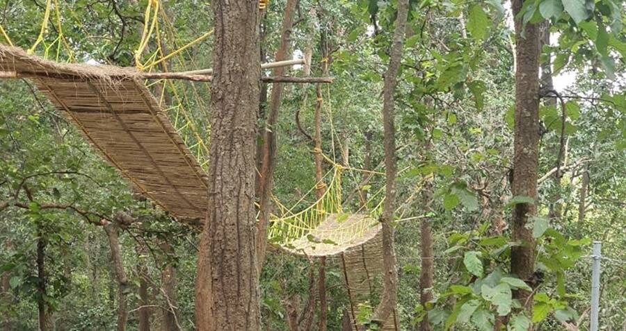 This Hanging 'Eco Bridge' Helps Animals Cross Busy Highway In India