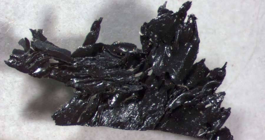 Black Smudge On Polar Explorer's Final Diary Entry Identified As Feces