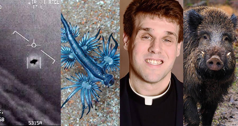 Odd News Stories From 2020 That Prove This Year Was The Weirdest Yet