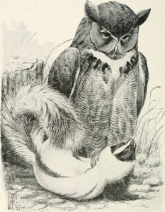 The 7 Most Terrifying Native American Monsters From Indigenous Folklore