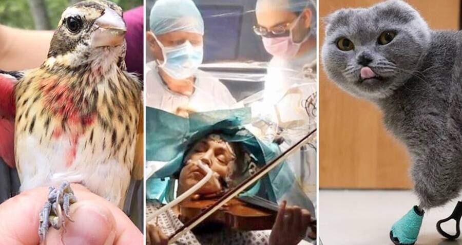 The 27 Most Astounding Science Images Of 2020