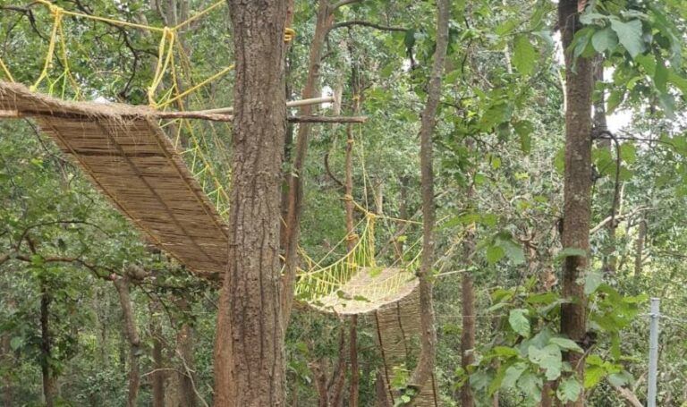 This Hanging 'Eco Bridge' Helps Animals Cross Busy Highway In India