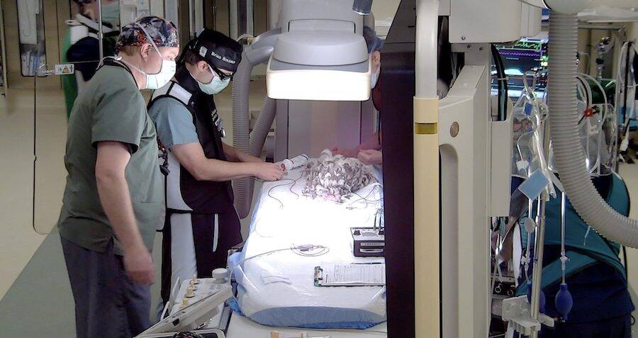 Odd, Bizarre, And Incredibly Weird News Stories From Around The World