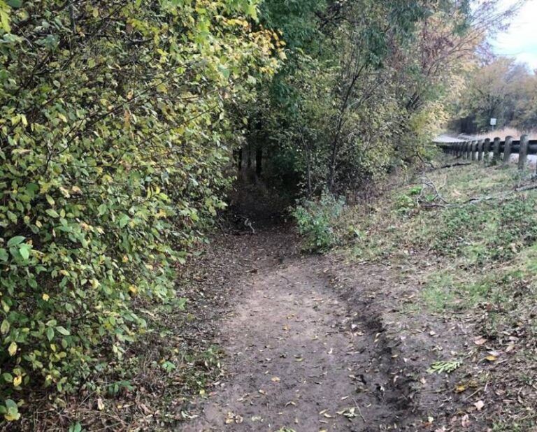 Inside The Terrifying Legend Of Goatman's Bridge