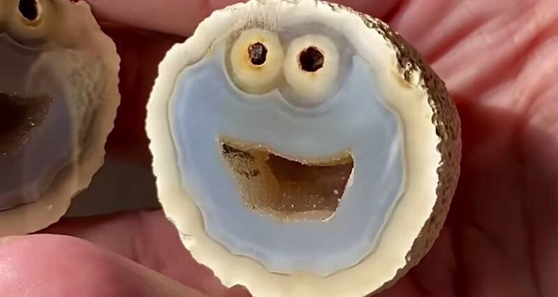 Gemstone That Looks Like Cookie Monster Found In Brazil