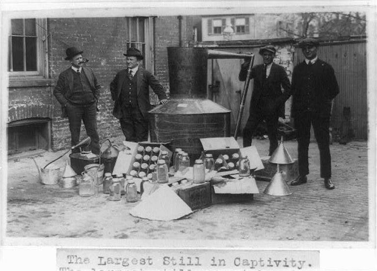 How Mabel Walker Willebrandt Became The Face Of Prohibition