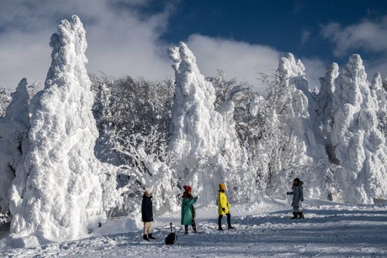 Juhyou, The Japanese Snow Monsters Nearing Extinction