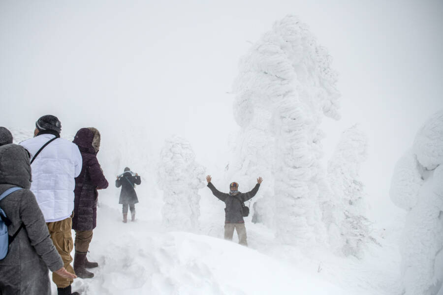 Juhyou, The Japanese Snow Monsters Nearing Extinction