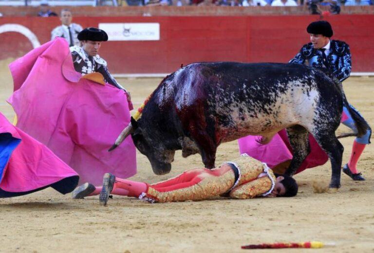 The Death Of Víctor Barrio, The Matador Gored On National Television