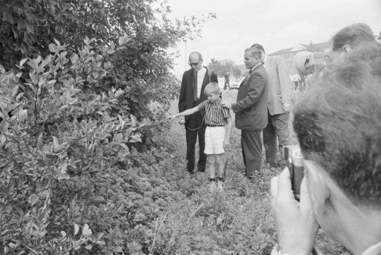 Alice Crimmins, The New York Mom Blamed For Killing Her Kids