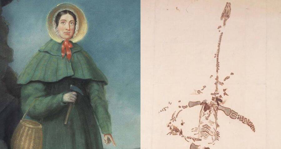 Mary Anning, The Fearless Fossil Hunter Of 19th-Century England