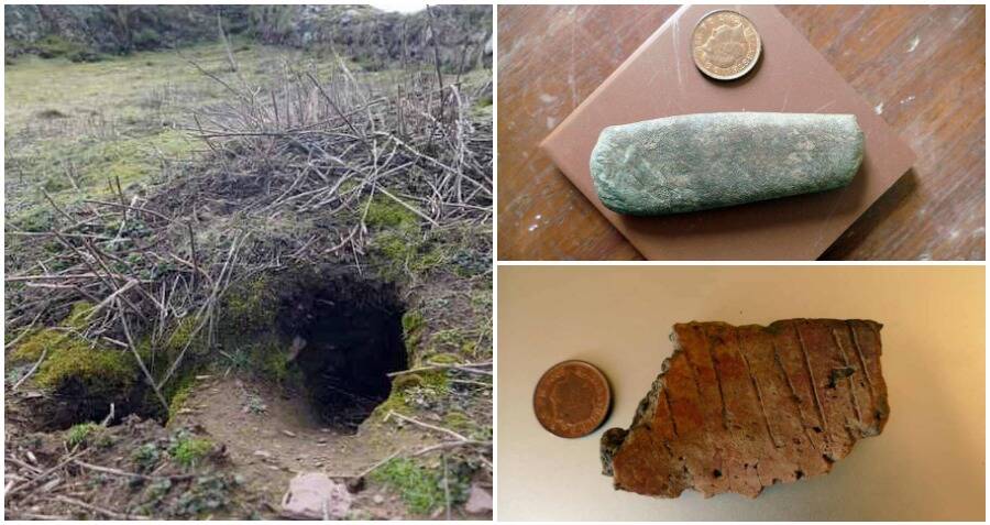 Rabbits Unearth 9,000-Year-Old Stone Age Tools On Remote Welsh Island