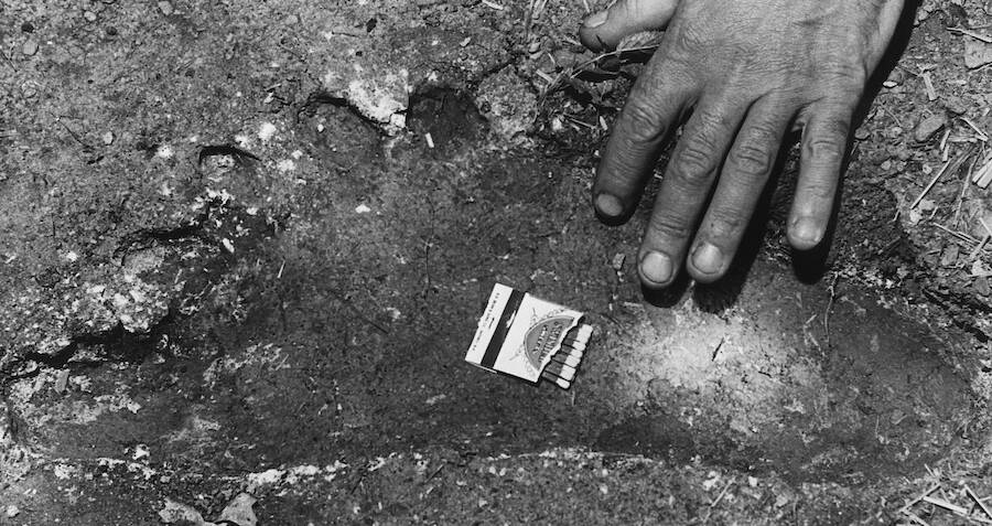 8 Convincing Sightings Of Bigfoot Across North America