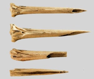 Archeologists Find World's Oldest Tattoo Needles In Tennessee