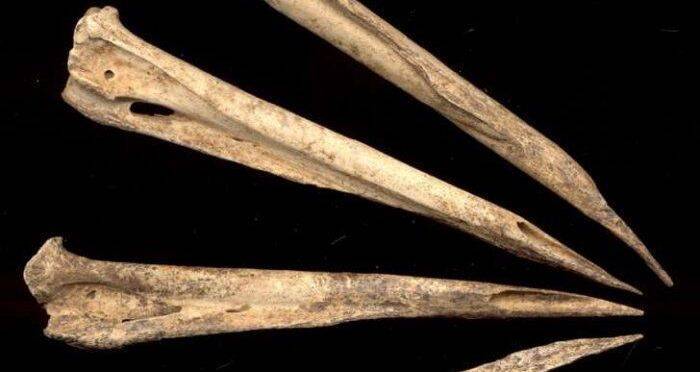 Archeologists Find World's Oldest Tattoo Needles In Tennessee