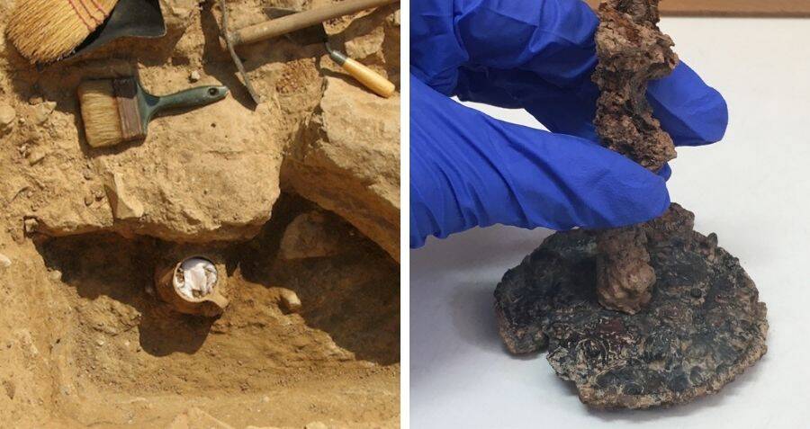 Ancient Greek Curse Jar Holding Dismembered Chicken Found In Athens