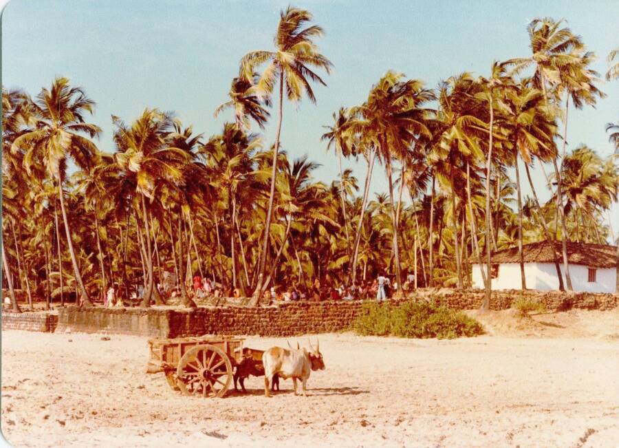 33 Vintage Photos That Capture The Goa Hippie Movement