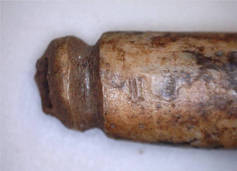 Stone Age People Wore Elk Teeth During Hours-Long Dance Parties