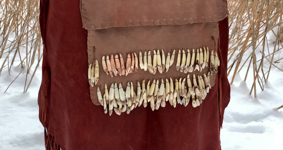 Stone Age People Wore Elk Teeth During Hours-Long Dance Parties