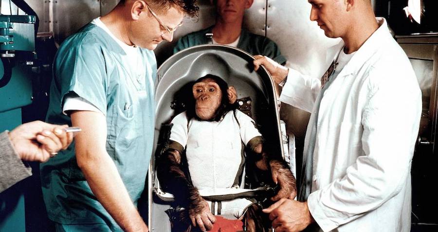 Meet Ham The Chimp, The Animal Astronaut Who Changed History