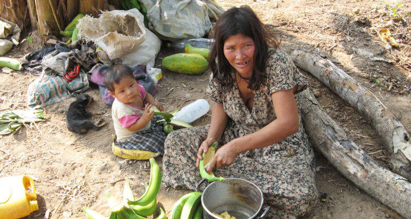 The Tsimané Tribe Have The Healthiest Brains And Hearts On Earth