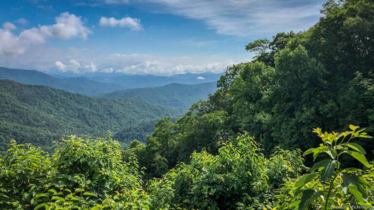 What Happened To Eric Rudolph, The Notorious Anti-Abortion Bomber?